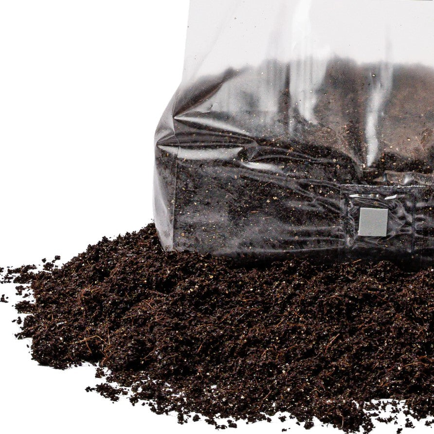 Top Mushroom Growing Grain & Substrates for Optimal Yield – IGHSUPPLY
