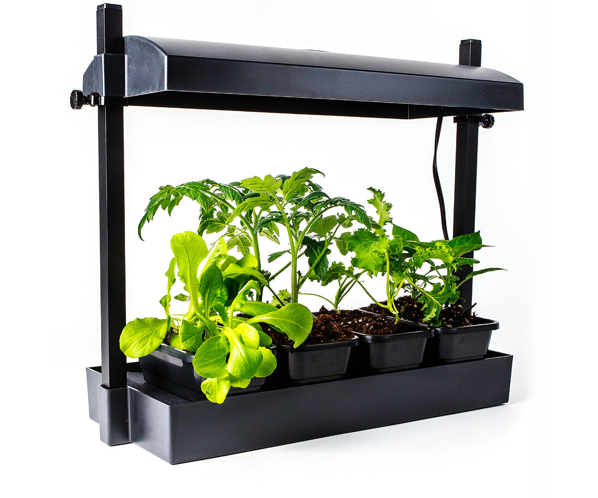 SunBlaster Micro LED Grow Light Garden – IGHSUPPLY